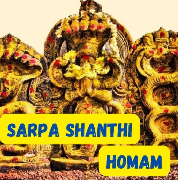Astrologer Murali Iyer - All Kind of Homam's Done Here